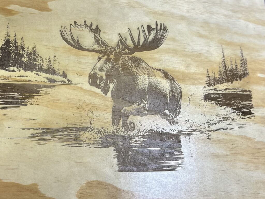 Laser Engraved Bull Moose Crossing River - Newfie Laser Productions