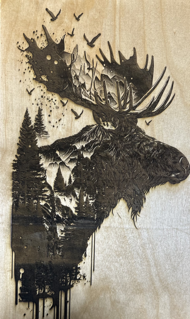 3D LASER ENGRAVED MOOSE WITH DOUBLE WILDLIFE EXPOSURE - Newfie Laser ...