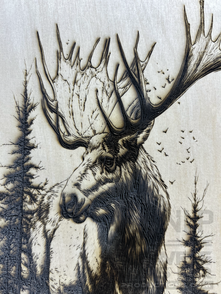 3D LASER ENGRAVED ILLUSION OF A MOOSE OVERLOOKING TREETOPS - Newfie ...